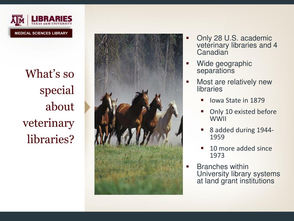 PPT - VetPrint PowerPoint Presentation, free download - ID:2672902