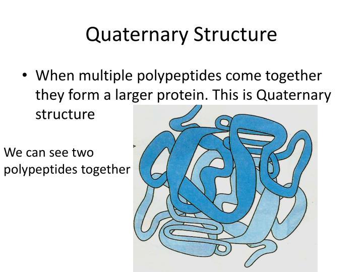 PPT - Surprise Quiz PowerPoint Presentation - ID:2672998