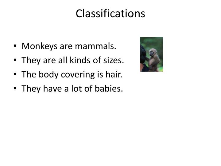 PPT - Monkeys PowerPoint Presentation - ID:2673004