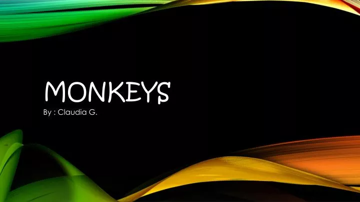 PPT - monkeys PowerPoint Presentation, free download - ID:2673015