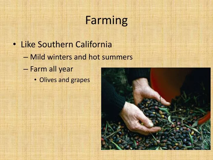 PPT - Farming PowerPoint Presentation, free download - ID:2673177