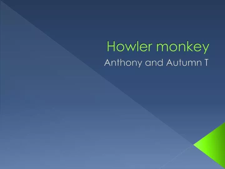 PPT - Howler monkey PowerPoint Presentation, free download - ID:2673249