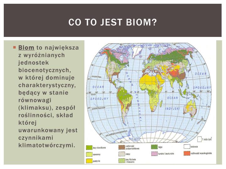 PPT - Biomy kuli ziemskiej PowerPoint Presentation - ID:2673282