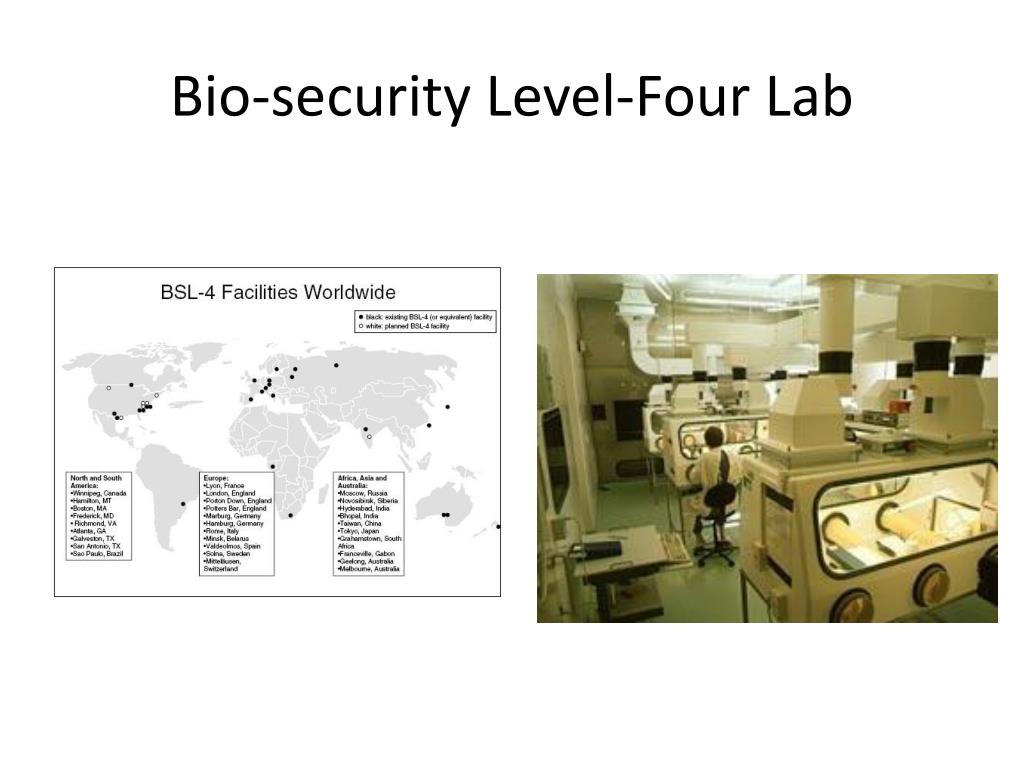 PPT - 1918 Influenza Pandemic: Killing the Healthy PowerPoint ...