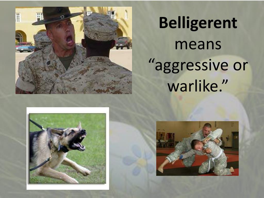 PPT - Lesson 17 Greek Word Parts: Aero, Belli, Pan PowerPoint ...