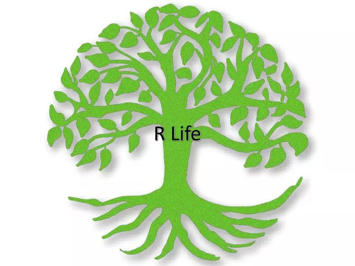 PPT - R Life PowerPoint Presentation, free download - ID:2674064