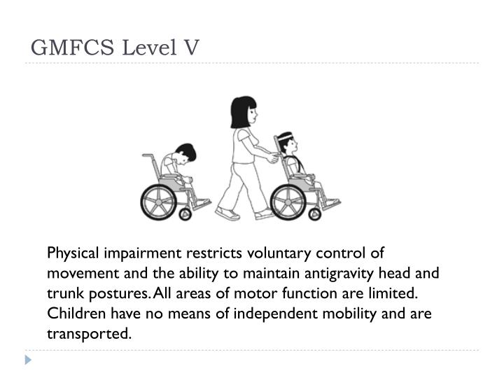 PPT - Degrees of Cerebral palsy PowerPoint Presentation - ID:2674125