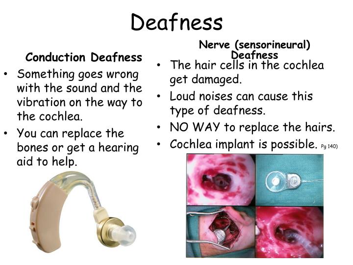 PPT - Sensation & Perception PowerPoint Presentation - ID:2674201