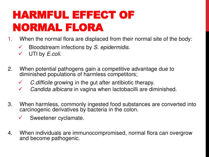 PPT - Normal Flora PowerPoint Presentation - ID:2674250