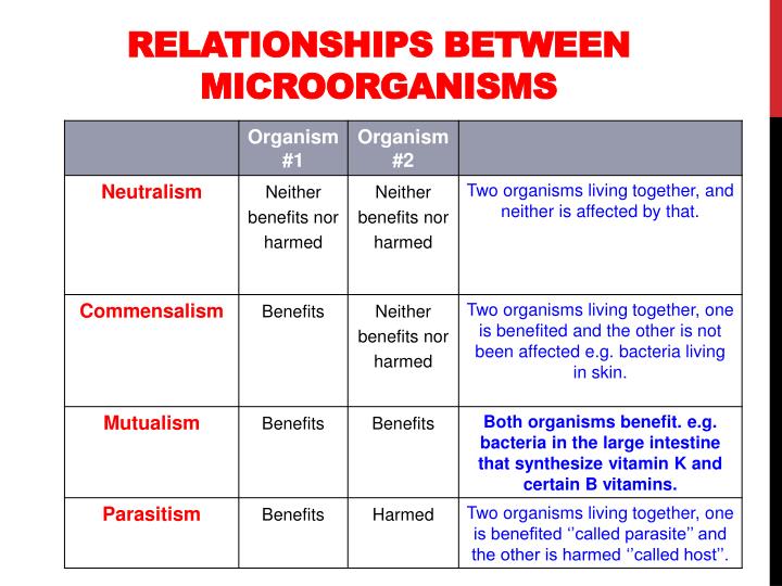 PPT - Normal Flora PowerPoint Presentation - ID:2674250