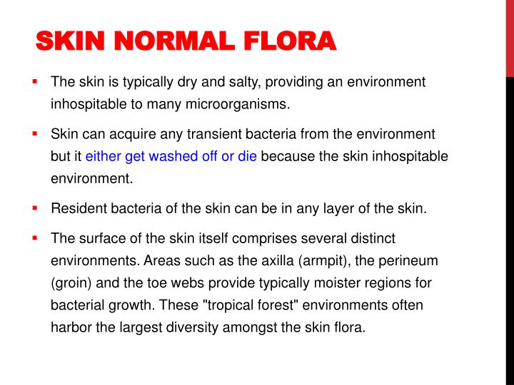 PPT - Normal Flora PowerPoint Presentation - ID:2674250
