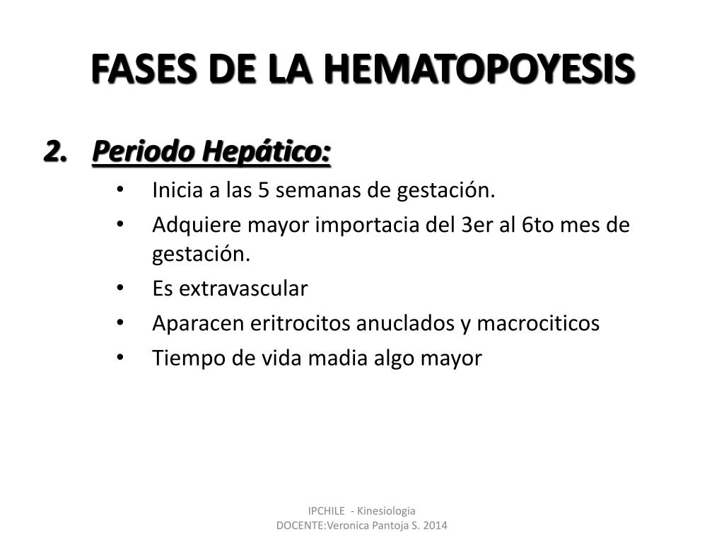PPT - Sangre Professor : Verónica Pantoja . Lic. MSP. PowerPoint ...