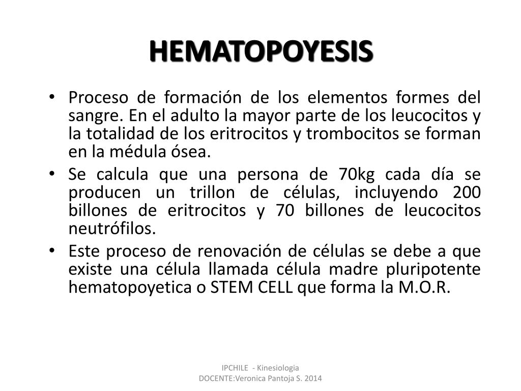 PPT - Sangre Professor : Verónica Pantoja . Lic. MSP. PowerPoint ...