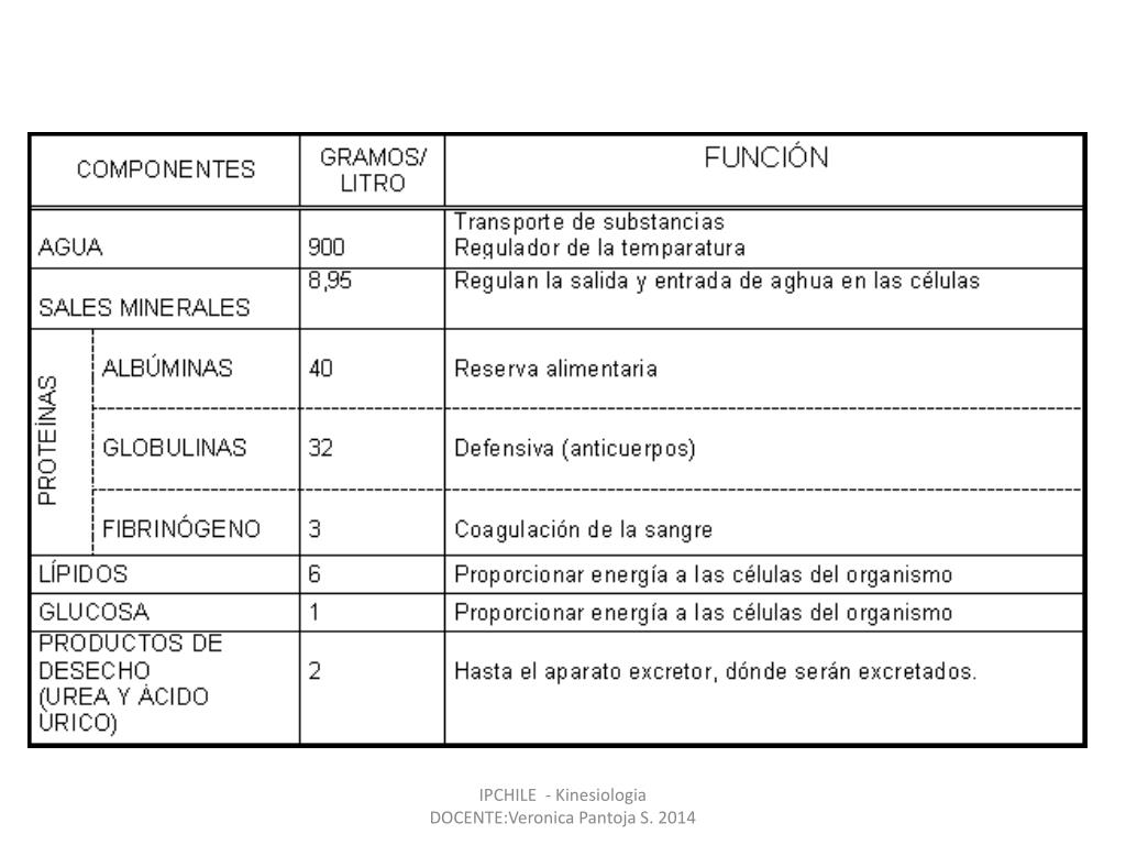 PPT - Sangre Professor : Verónica Pantoja . Lic. MSP. PowerPoint ...