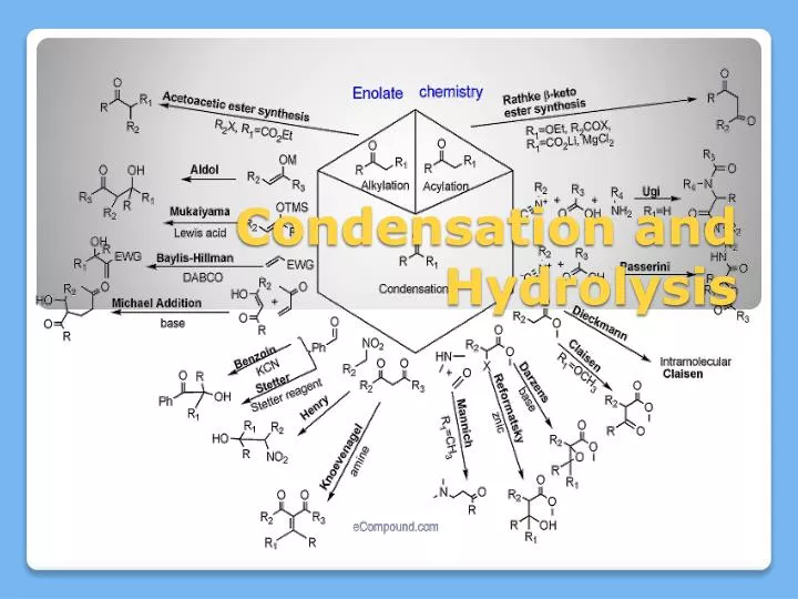 PPT - Condensation and Hydrolysis PowerPoint Presentation, free ...