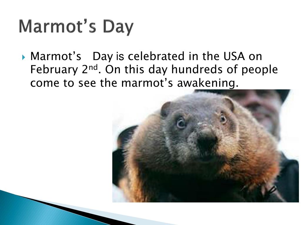 PPT - The USA. American national holidays. PowerPoint Presentation ...