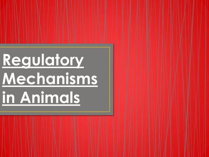 PPT - Regulatory Mechanisms in Animals PowerPoint Presentation, free ...