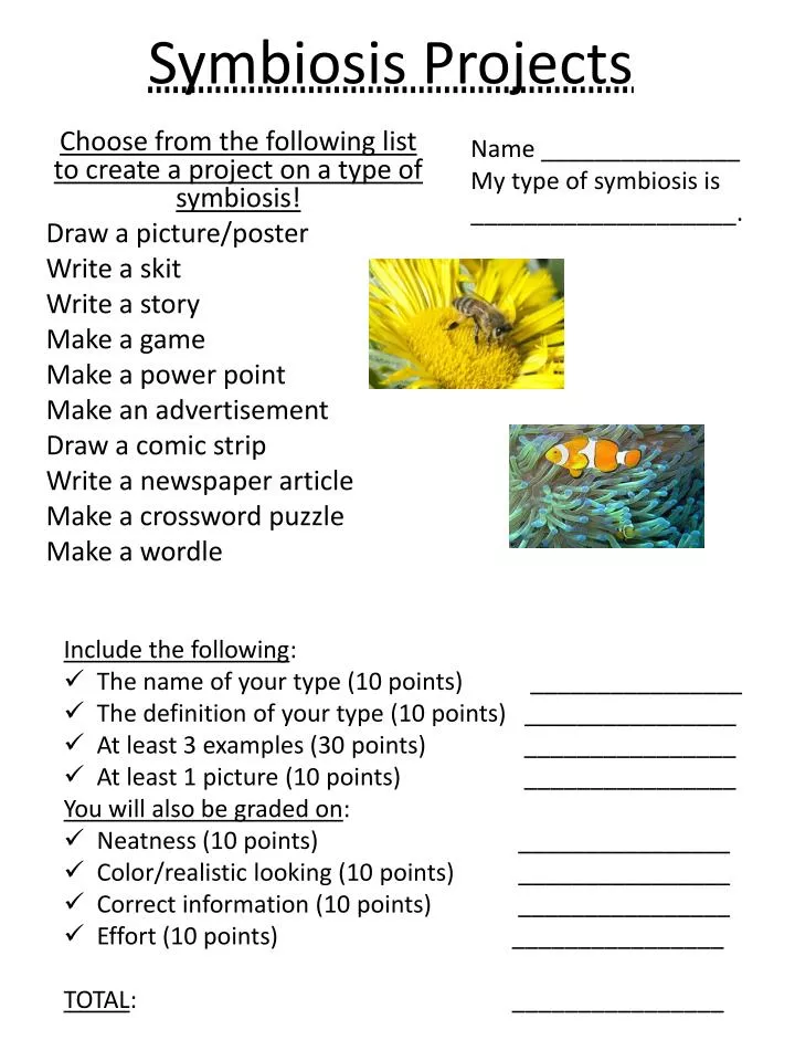 PPT - Symbiosis Projects PowerPoint Presentation, free download - ID ...