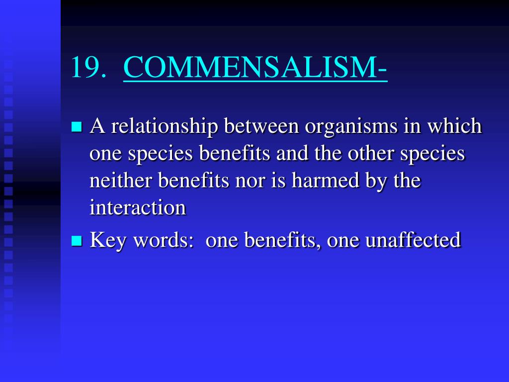 PPT - SYMBIOTIC RELATIONSHIPS WORDS 17-22 Symbiosis Mutualism ...