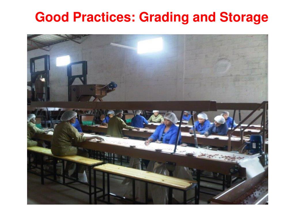 Ppt Mitigating The Aflatoxin Challenge Powerpoint Presentation Free