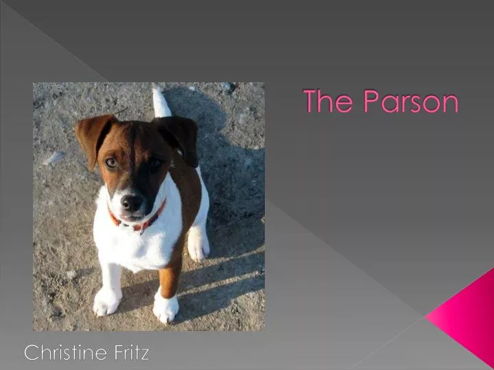 PPT - The Parson PowerPoint Presentation, free download - ID:2677270