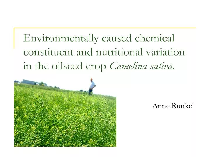 PPT - Anne Runkel PowerPoint Presentation, free download - ID:2678893