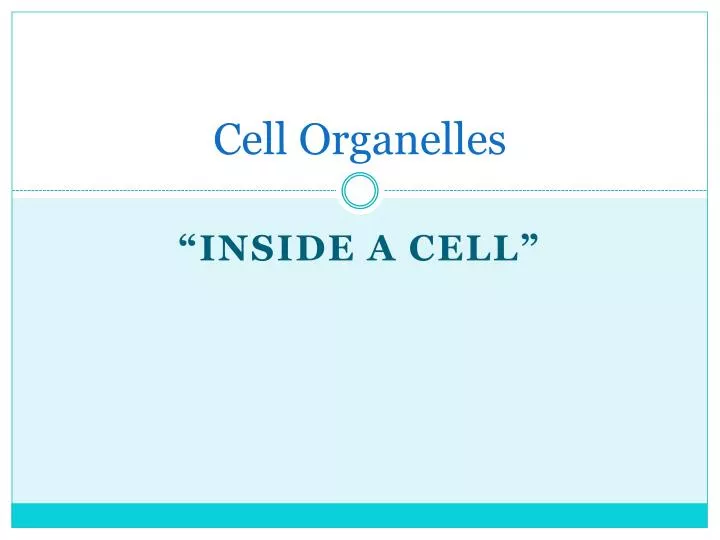 PPT - Cell Organelles PowerPoint Presentation, free download - ID:2679584