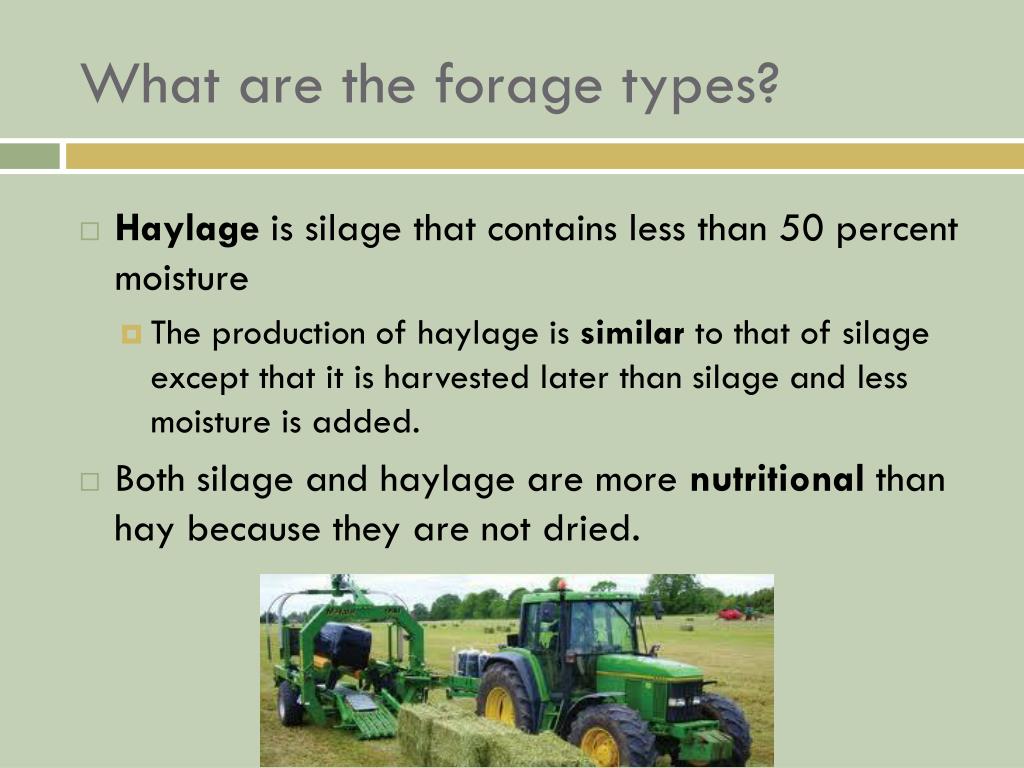 PPT - Animal, Plant & Soil Science E9-1 Forage Production PowerPoint ...