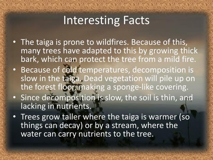 PPT - Taiga PowerPoint Presentation - ID:2680394