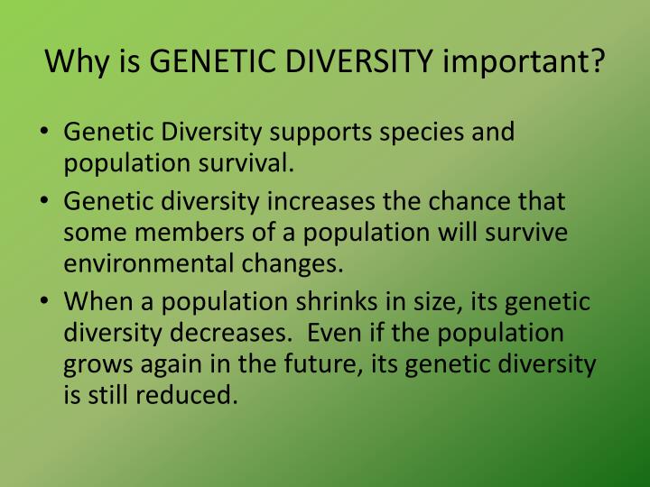 PPT - What are the benefits of biodiversity? PowerPoint Presentation ...