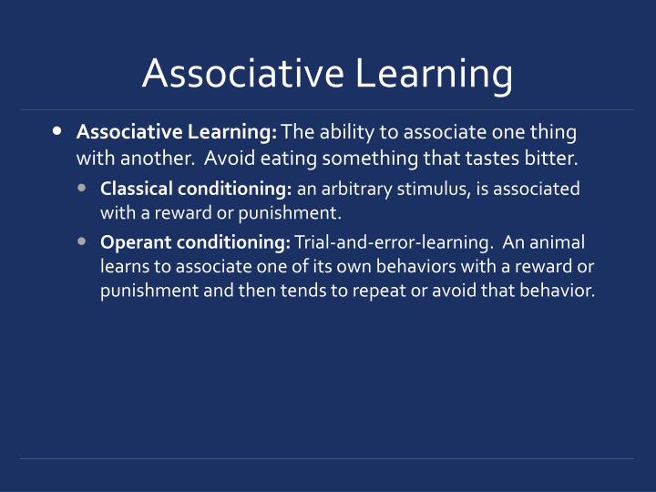 PPT - Behavioral Ecology PowerPoint Presentation - ID:2681450