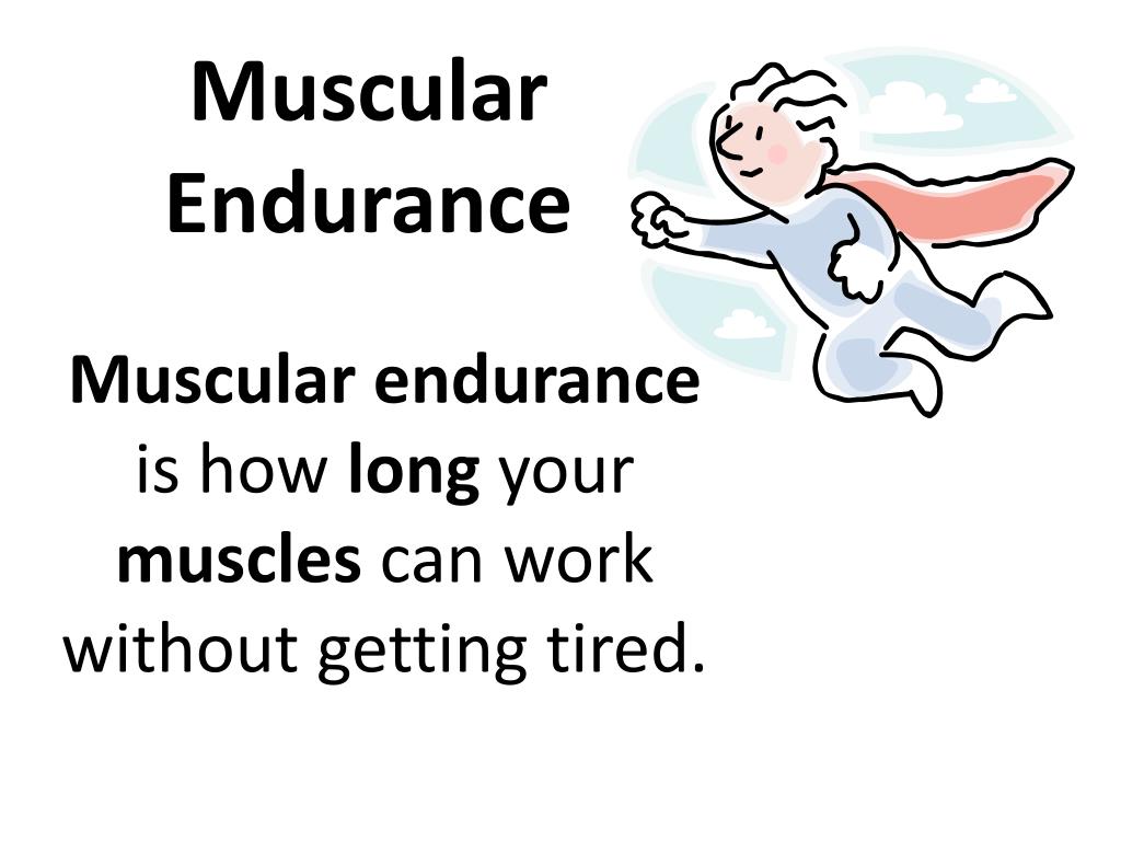 PPT - Muscular Strength and Muscular Endurance PowerPoint Presentation ...