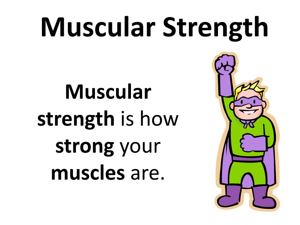 PPT - Muscular Strength and Muscular Endurance PowerPoint Presentation ...