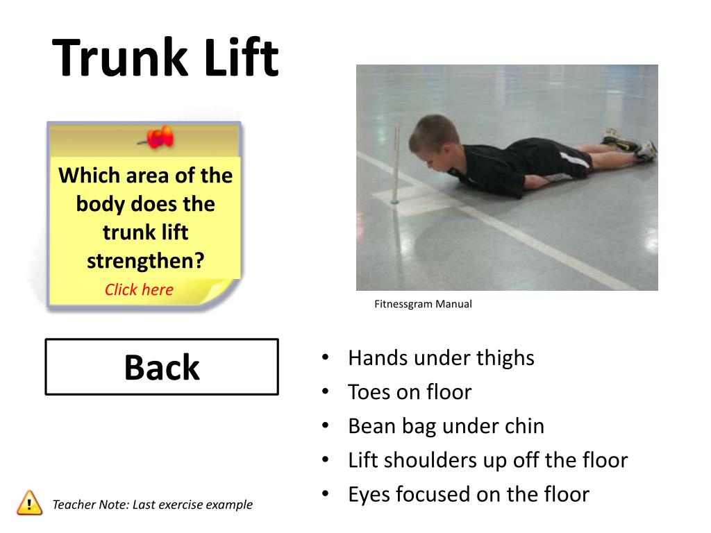 PPT - Muscular Strength and Muscular Endurance PowerPoint Presentation ...