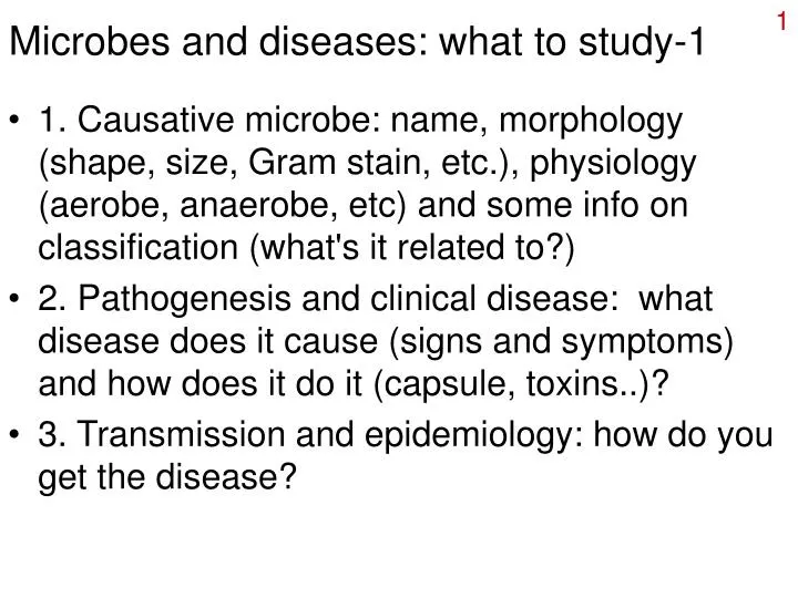 PPT - Microbes and diseases: what to study-1 PowerPoint Presentation ...