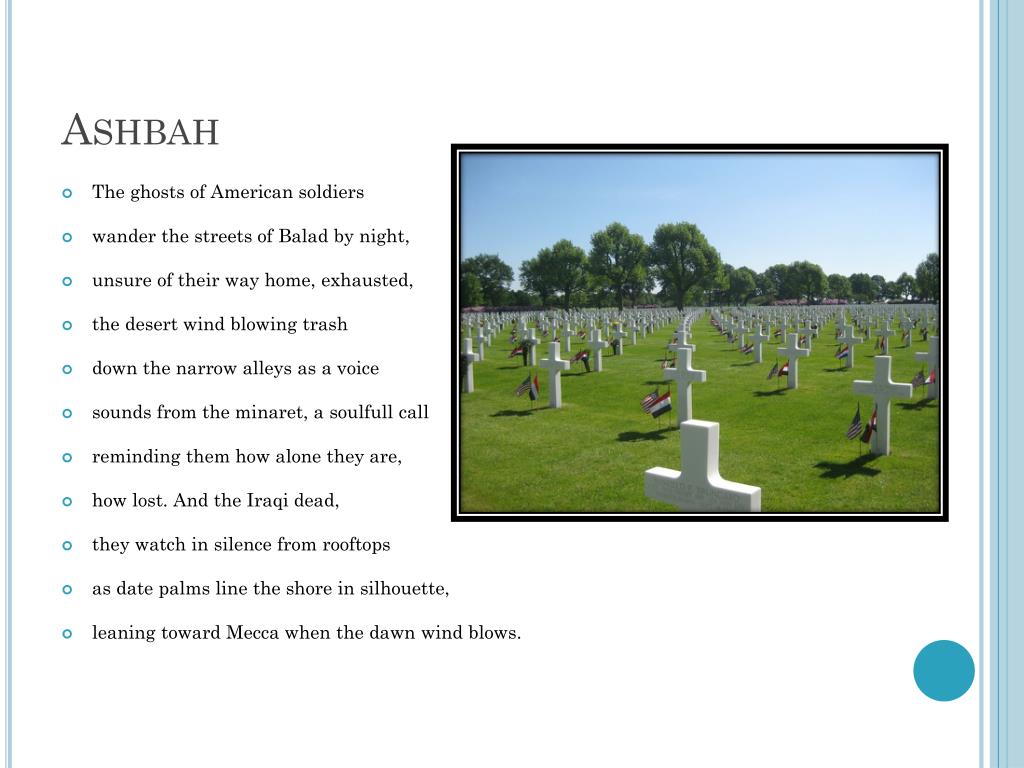 PPT - The Battle Of Gallipoli PowerPoint Presentation, free download ...