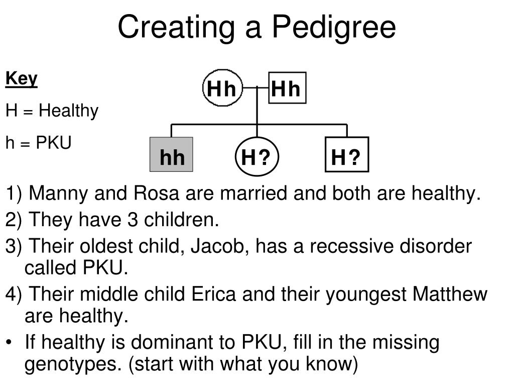 PPT - Genetic Pedigrees PowerPoint Presentation, free download - ID:2682395 PPT - Genetic Pedigrees PowerPoint Presentation, free download - ID:2682395