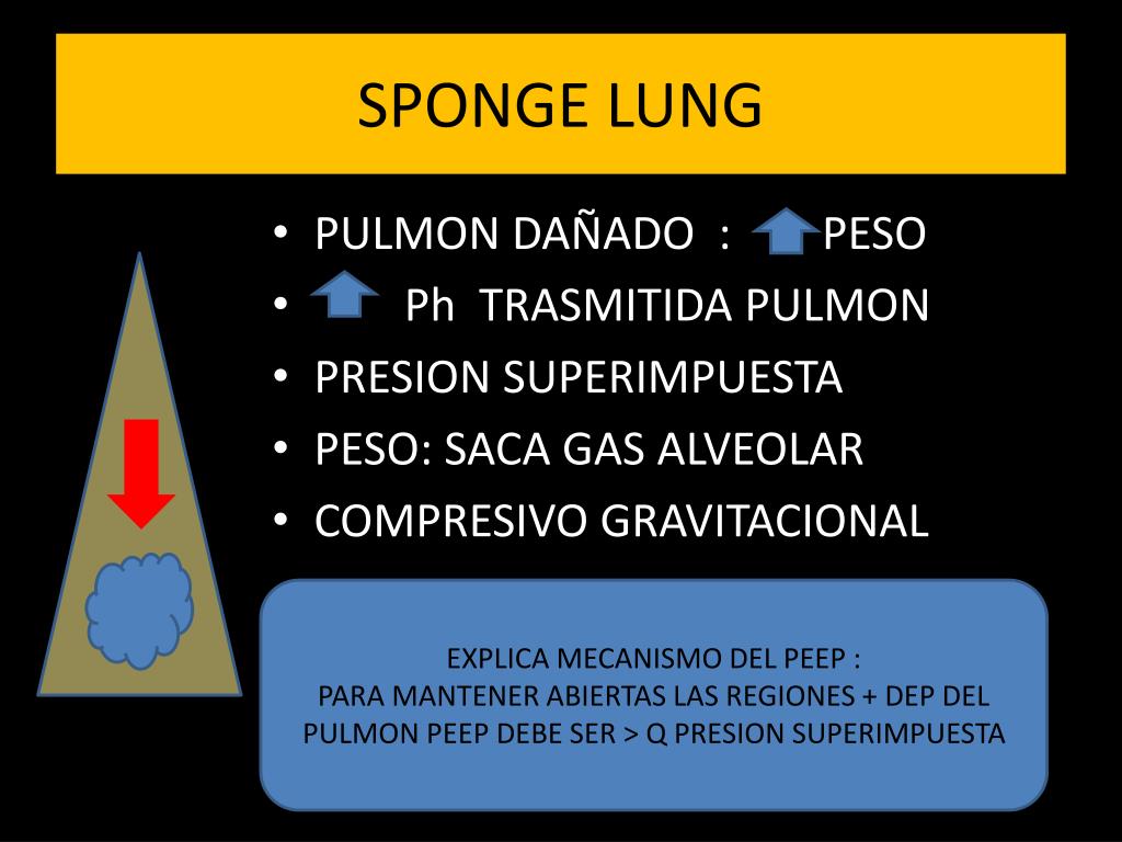 PPT - BABY LUNG PowerPoint Presentation, free download - ID:2682600