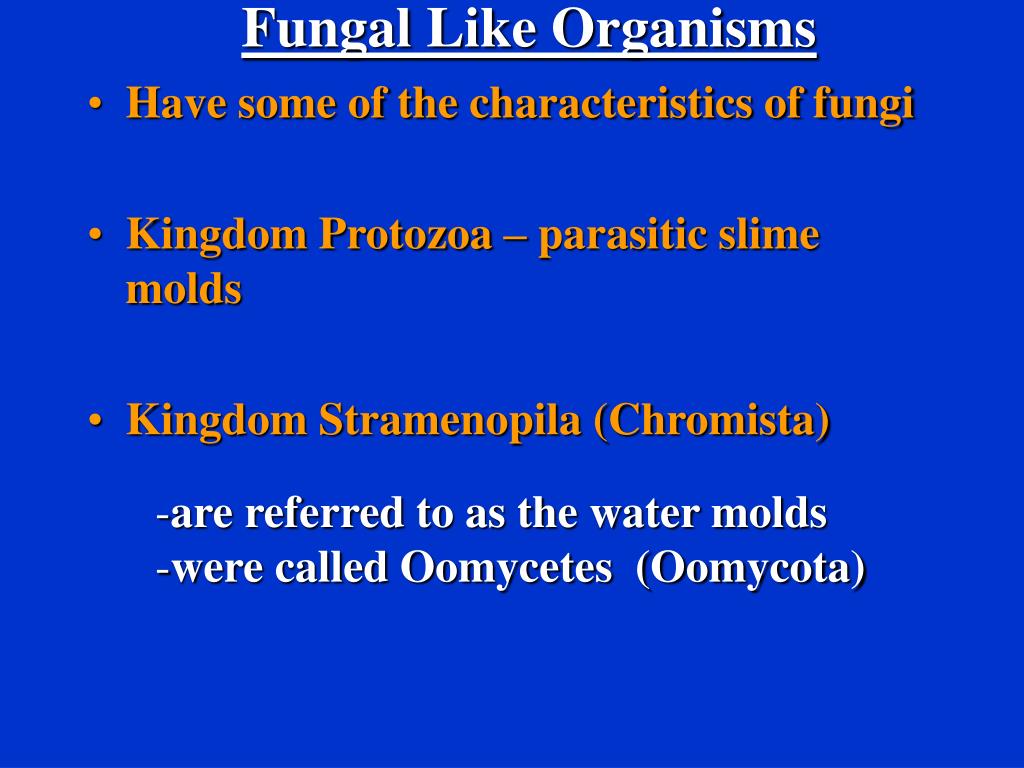 PPT - Diseases Caused by Fungi (Including disease by ‘lower fungi ...