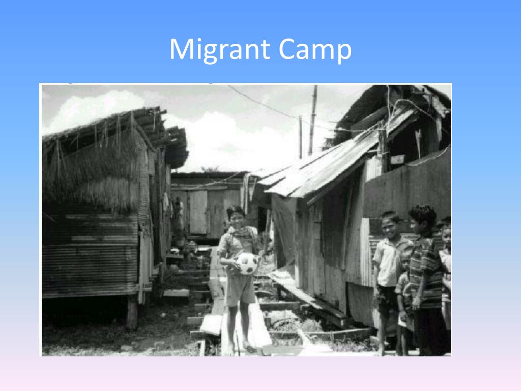 PPT - Mexican Migrant Farming Camps in the 1930s PowerPoint ...