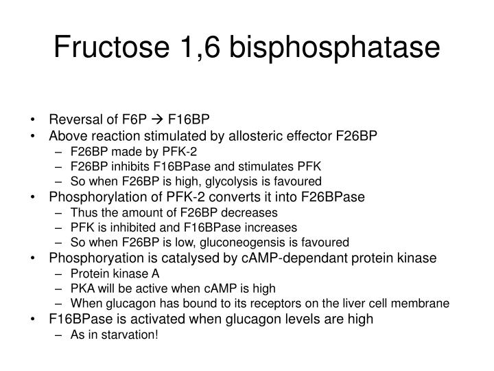 PPT - Gluconeogenesis and Beta-oxiation PowerPoint Presentation - ID ...