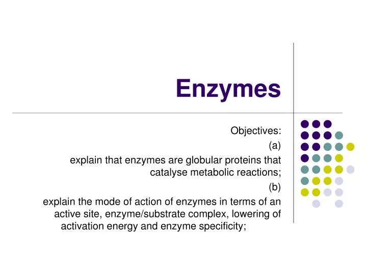 PPT - Enzymes PowerPoint Presentation, free download - ID:2683613