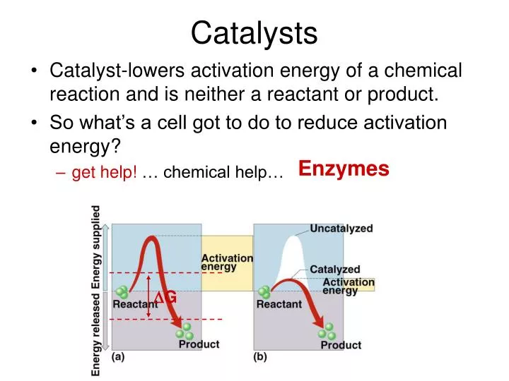 PPT Catalysts PowerPoint Presentation Free Download ID 2683737 PPT Catalysts PowerPoint Presentation Free Download ID 2683737