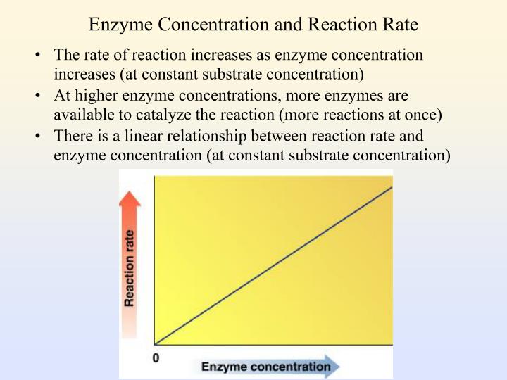 PPT - Enzymes as Biological Catalysts PowerPoint Presentation - ID:2683753