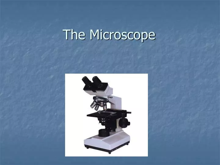 PPT - The Microscope PowerPoint Presentation, free download - ID:2684310