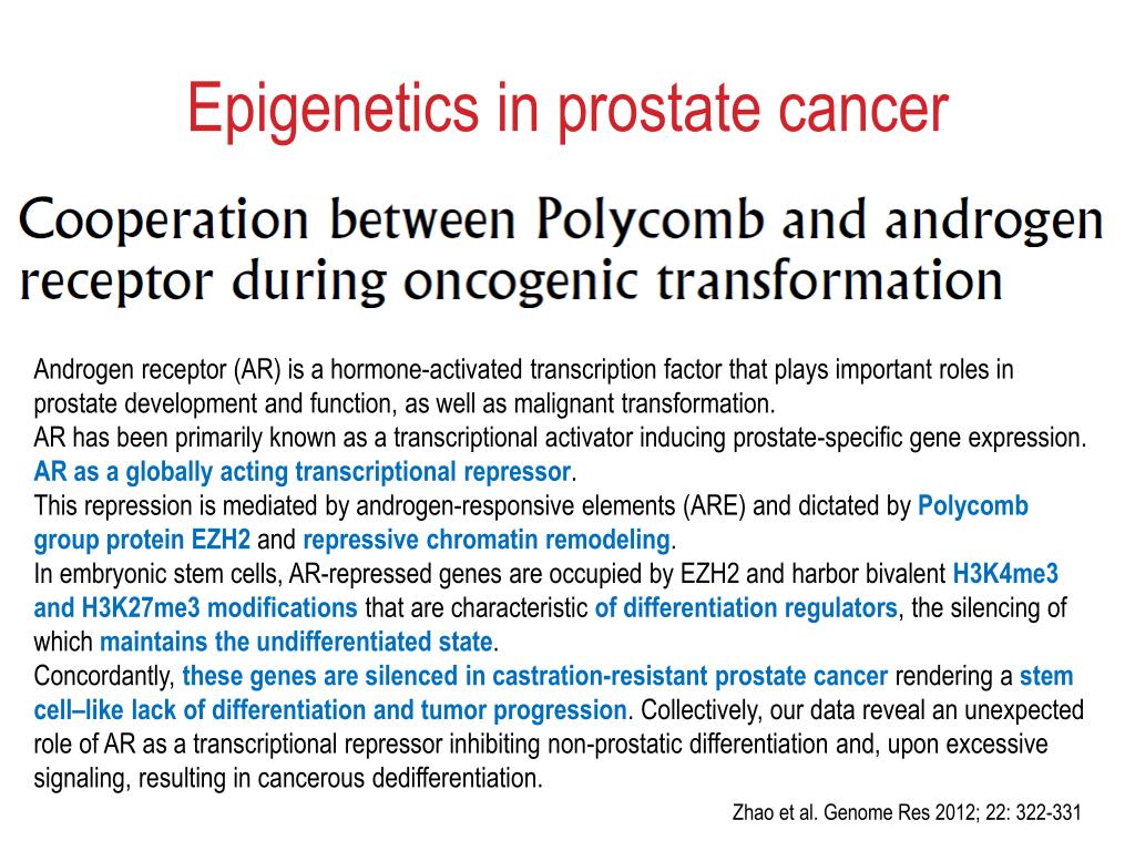 PPT - The physiopathological evolution of prostate cancer Antonello Di ...