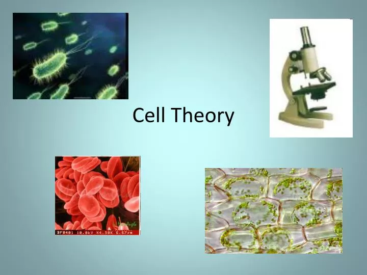 PPT - Cell Theory PowerPoint Presentation, free download - ID:2684385