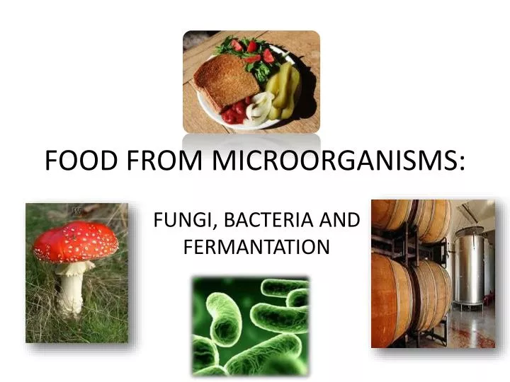 PPT - FOOD FROM MICROORGANISMS: PowerPoint Presentation, free download ...