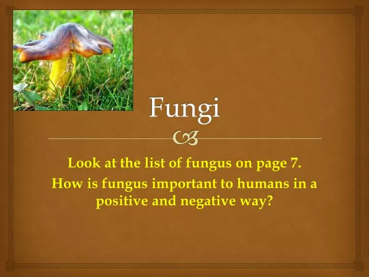 PPT - Fungi PowerPoint Presentation, free download - ID:2684825