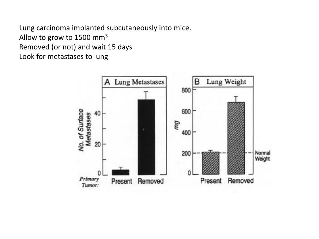 PPT - Angiostatin : A Novel Angiogenesis Inhibitor That Mediates the ...
